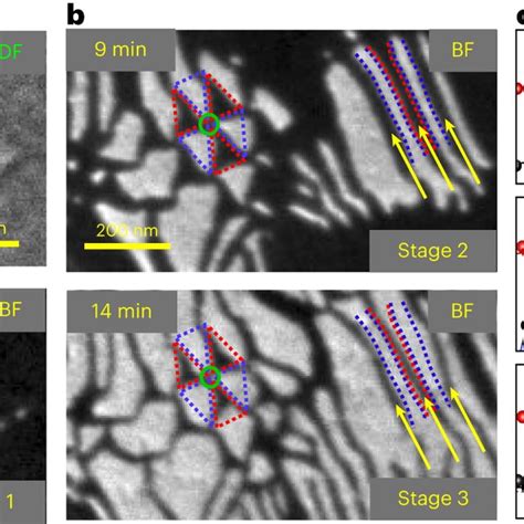 Domain Selective Lithium Intercalation Into The Graphenebuffer