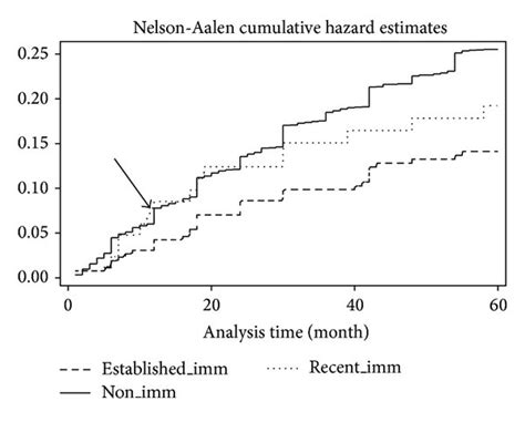 Estimated Smoothed And Cumulative Hazard Functions By Immigrant Status