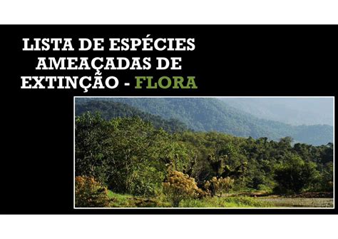 PDF LISTA DE ESPÉCIES AMEAÇADAS DE EXTINÇÃO FLORAsimat mma gov br