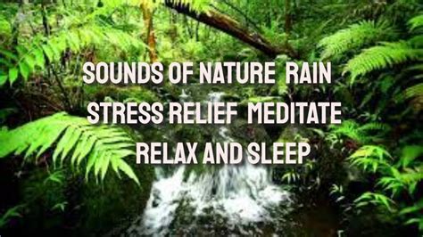 Sounds Of Nature Rain Stress Relief Meditate Relax And Sleep YouTube