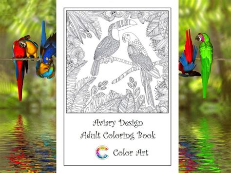 aviary bird coloring pages adult coloring book 40 digital etsy