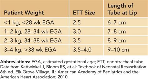 Endotracheal Tube Size For Newborn
