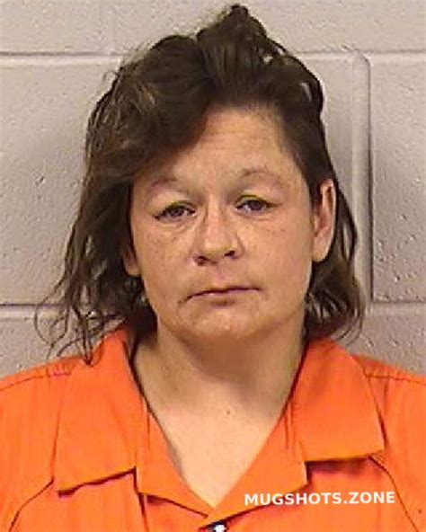 Wood Ruby Ann 04 30 2022 Dickinson County Mugshots Zone