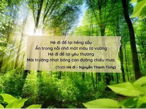 Khám Phá Nét Đẹp Độc Đáo Của Thơ Lục Bát 4 Câu Tổng Hợp Các Tác Phẩm