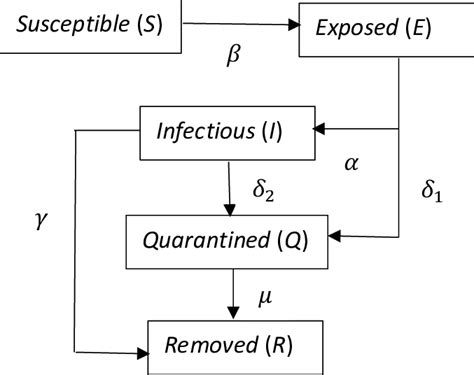 Schema Of The Seiqr Model And The Dynamical Equations Used Download