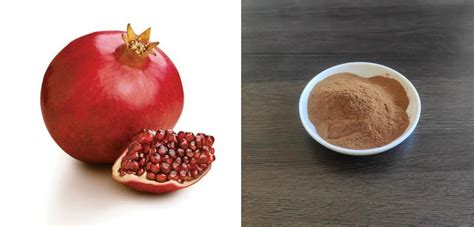 High Quality Pomegranate Extract Ellagic Acid Manufacturers Suppliers