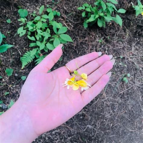 🚩 Vrdahzaid • Threads Say More