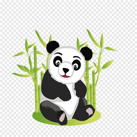 ไม้ไผ่ แพนด้ายักษ์ แพนด้าแดง หมี การวาด ความน่ารัก การระบายสี