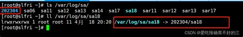 usr lib64 sa sa1脚本解释 linux sa1 csdn博客