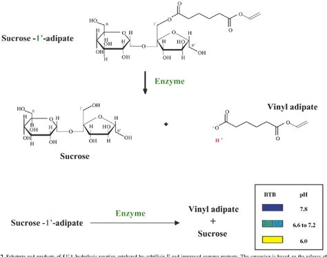 Figure 2 From Generation Of A Broad Esterolytic Subtilisin Using Combined Molecular Evolution
