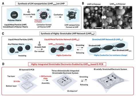 Universal Assembly Of Liquid Metal Particles In Polymers Enables Elastic Printed Circuit Board