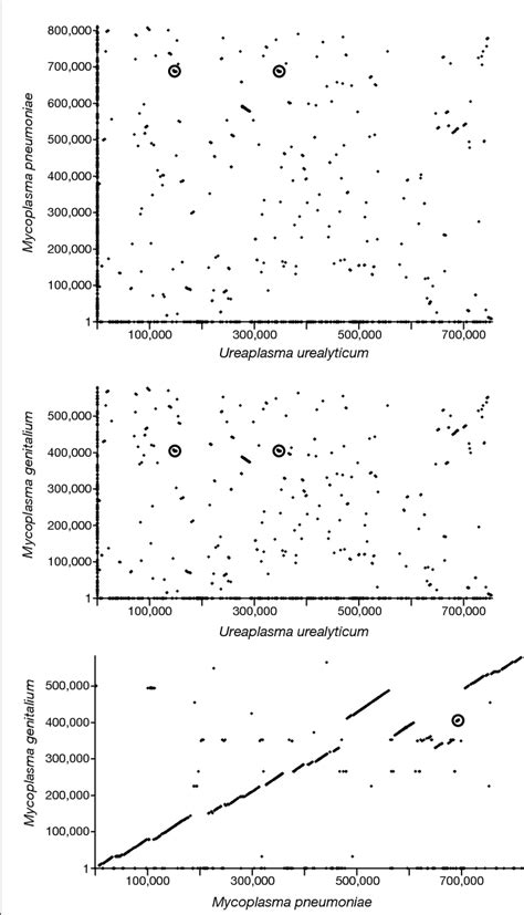 Figure 2 From Quorum Sensing Signals Indicate That Cystic Fibrosis