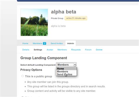 Buddypress Default Group Tab Buddydev