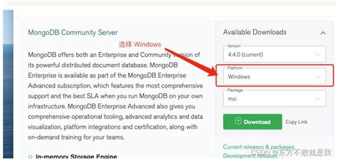 Windows Mongodb Windows Mongo Csdn