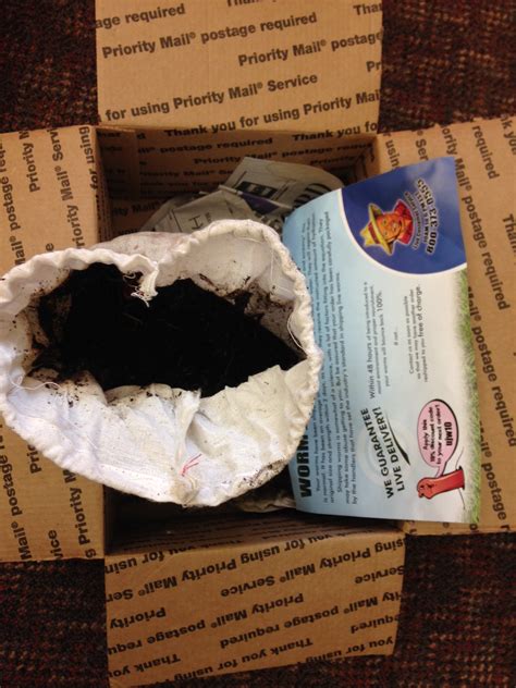 Worm Composting For Dummies Alaska Master Gardener Blog