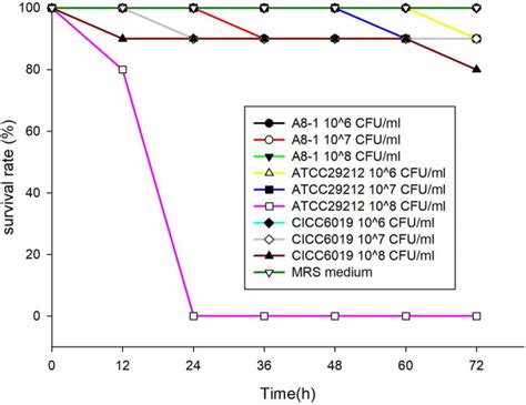 Probiotic Potential Analysis And Safety Evaluation Of Enterococcus Durans A8 1 Isolated From A