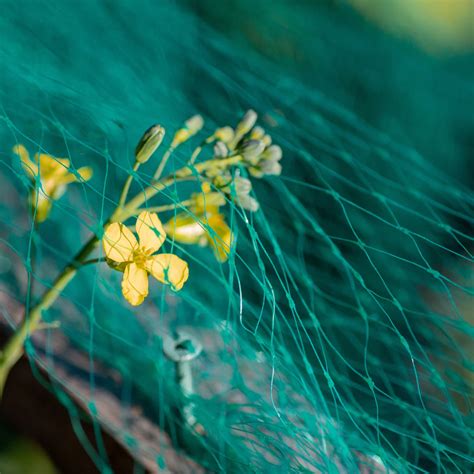 Netting And Trellis Ighsupply