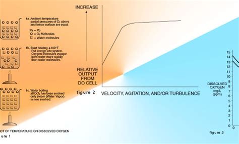 Dissolved Oxygen Molecule