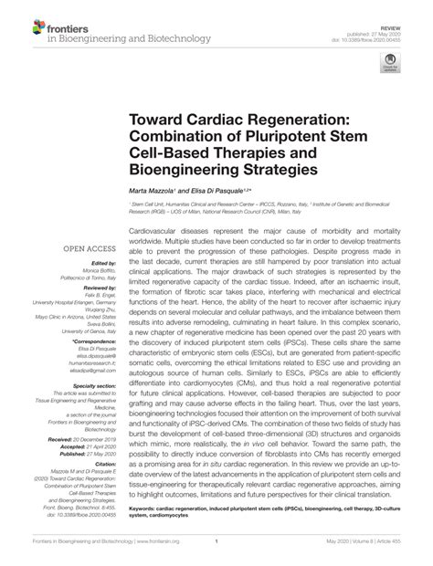 Pdf Toward Cardiac Regeneration Combination Of Pluripotent Stem Cell