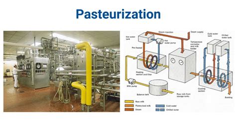 Pasteurization Definition Types Process Comparison Uses