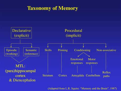 Ppt Distinct Memory Systems Mediating Declarative Emotional And Procedural Memory Functions
