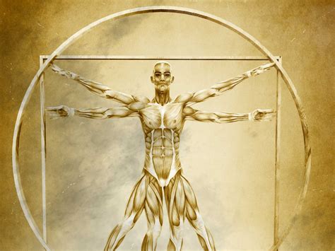 The Anatomy Of Determination