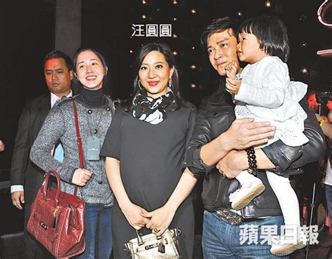 六個半月肚大大 汪圓圓生孖仔慶新年 蘋果日報聞庫