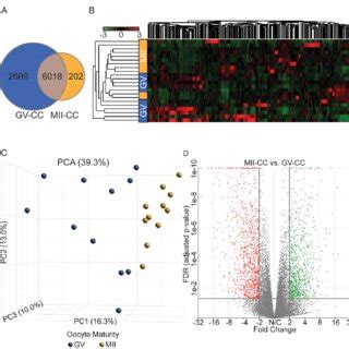 Hierarchical Clustering Hc Principal Component Analysis Pca And