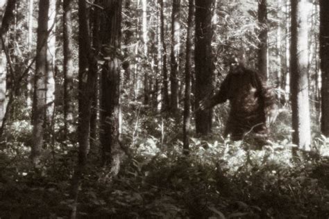 Gigantopithecus A Controversial Prehistoric Evidence Of The Bigfoot