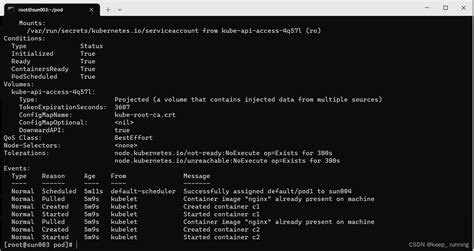 Kubernetes使用yaml创建pod Dry Runclient Csdn博客