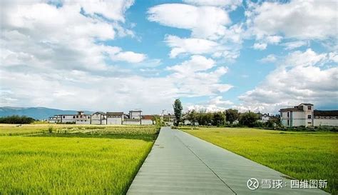 四维图新数字乡村一张图落地试点县 助力乡村智慧治理 数字乡村是乡村振兴的战略方向也是加快农业农村现代化的关键一环随着政府工作报告