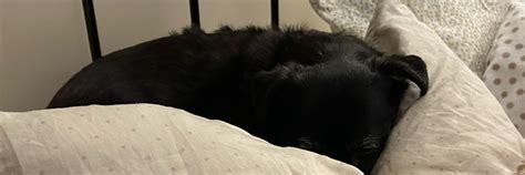 Frictobskysocial On Bluesky