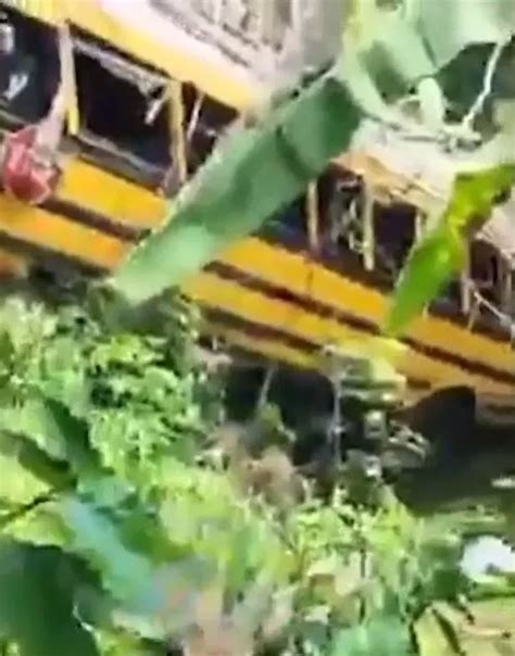 Four People Including Girl 8 Stung To Death By Killer Bees After Bus