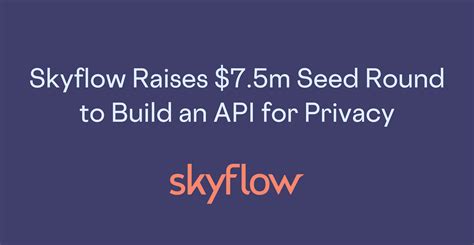 Skyflow Raises M Seed Round To Build An Api For Privacy Skyflow