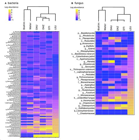 Heat Maps Of Log 10 Abundance Of Bd Inhibitory Bacterial A And