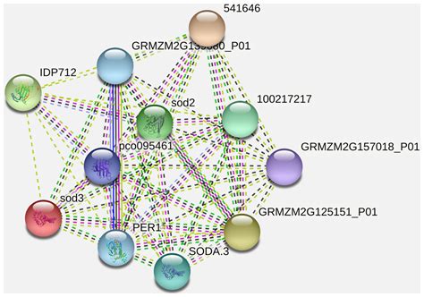 Cloning And Comparative Modeling Identifies A Highly Stress Tolerant Cu Zn Cytosolic Super Oxide