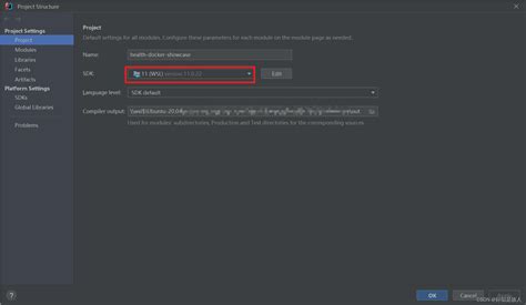 使用idea在wsl2的ubuntu的docker中运行项目idea Wsl Csdn博客