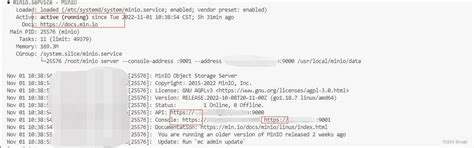 Minio配置minio配置域名 Csdn博客 Minio配置minio配置域名 Csdn博客