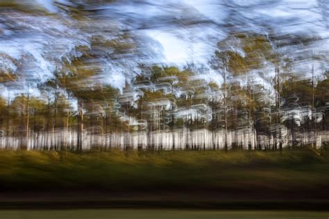 Passing Trees Archives Chris Becker