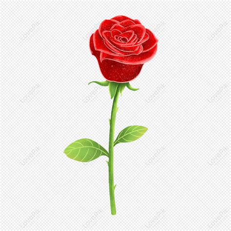 장미 꽃 Png 일러스트 무료 다운로드 Lovepik