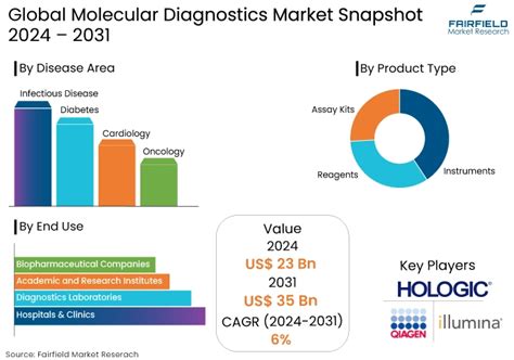 Molecular Diagnostics Market Share Outlook Size 2031