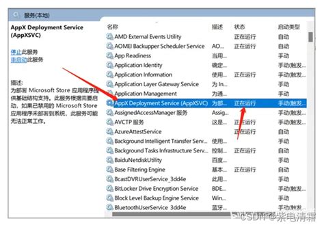 Windows11进入桌面黑屏及应用商店下载不了软件解决办法appxsvc Appx Deployment Service Appxsvc