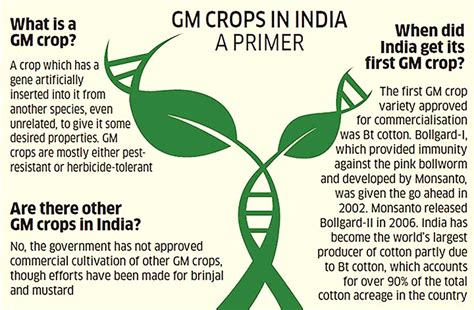 Demand For Import Of Genetically Modified Soy Seeds