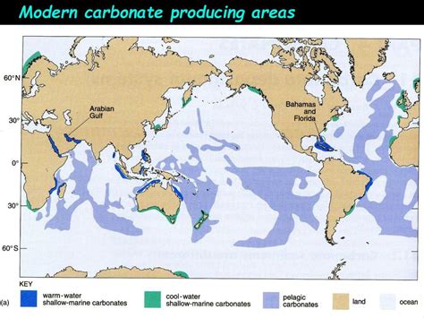 Ppt Carbonate Sediments And Depositional Environments Powerpoint