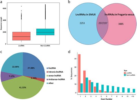 Long Noncoding Rna From Smrt A Boxplot Showing The Sequence Length Of
