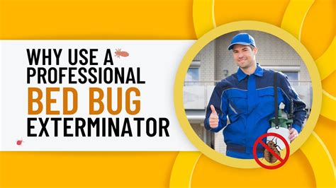 Bug Exterminator