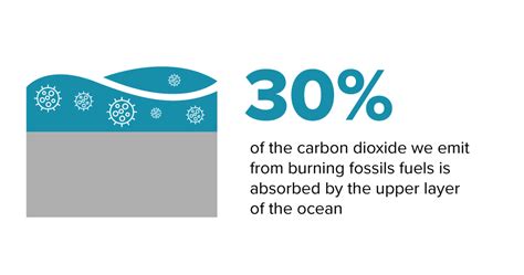 Carbon Sequestration UC Davis