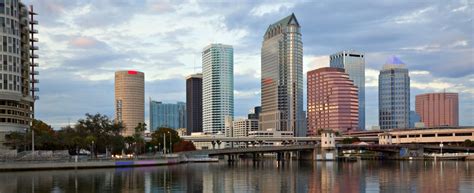Seo Company In Tampa Fl Internet Marketing Seo Services Tampa Bay