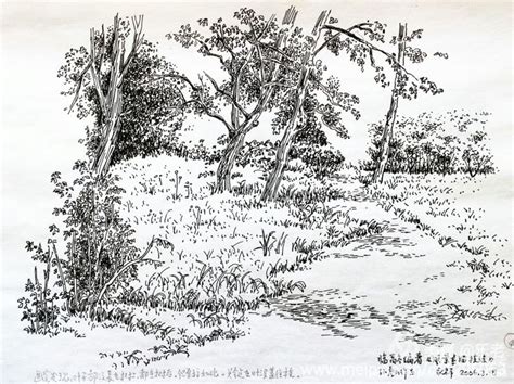 自学钢笔画 入门 零基础钢笔画入门教程 伤感说说吧