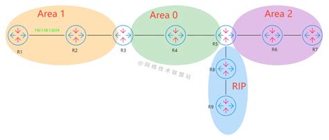 ospf知识点又繁又杂，我给你总结好了，都是重点！ 腾讯云开发者社区 腾讯云